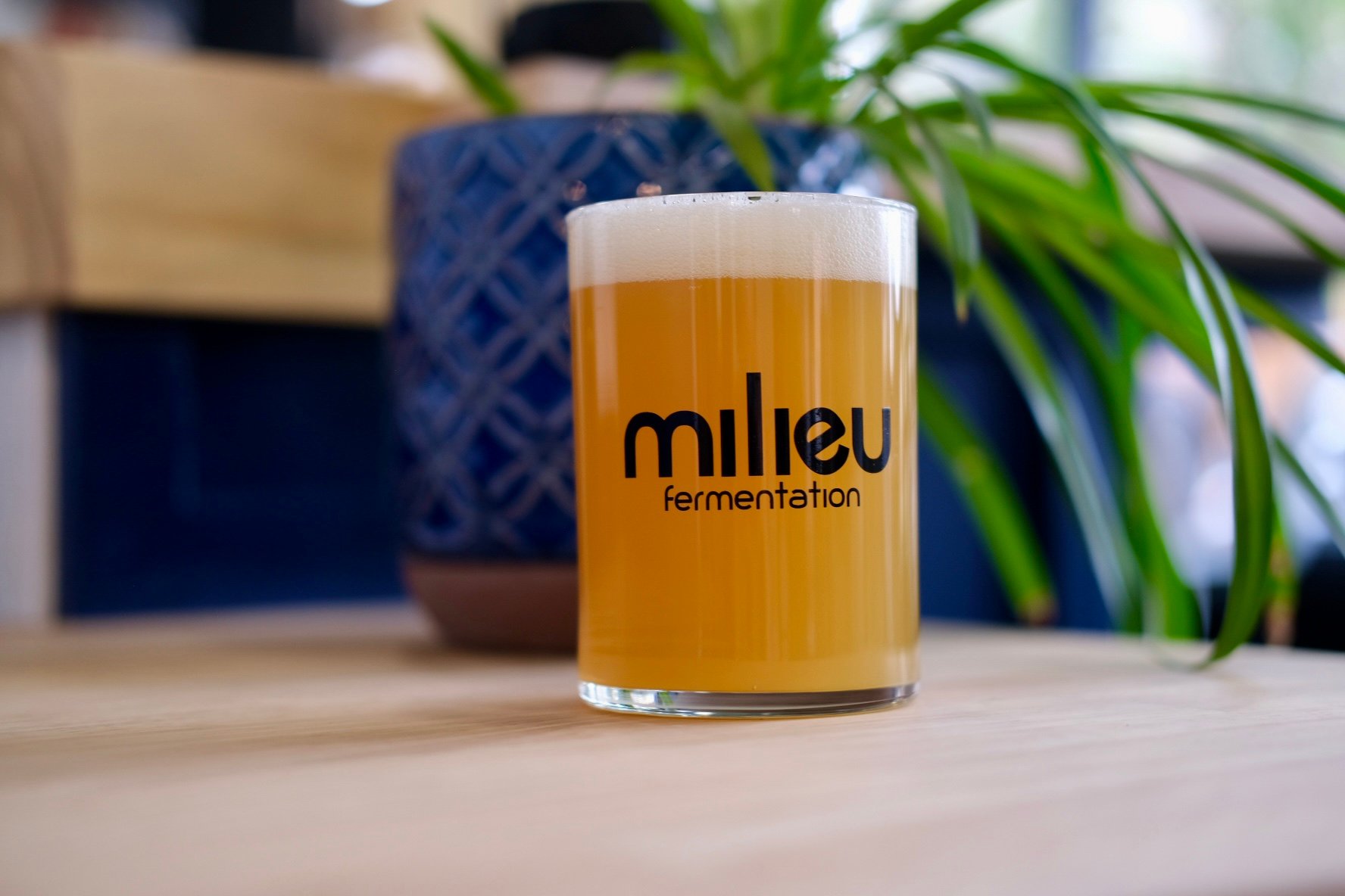 milieu fermentation company | Opening Weekend Preview - PorchDrinking