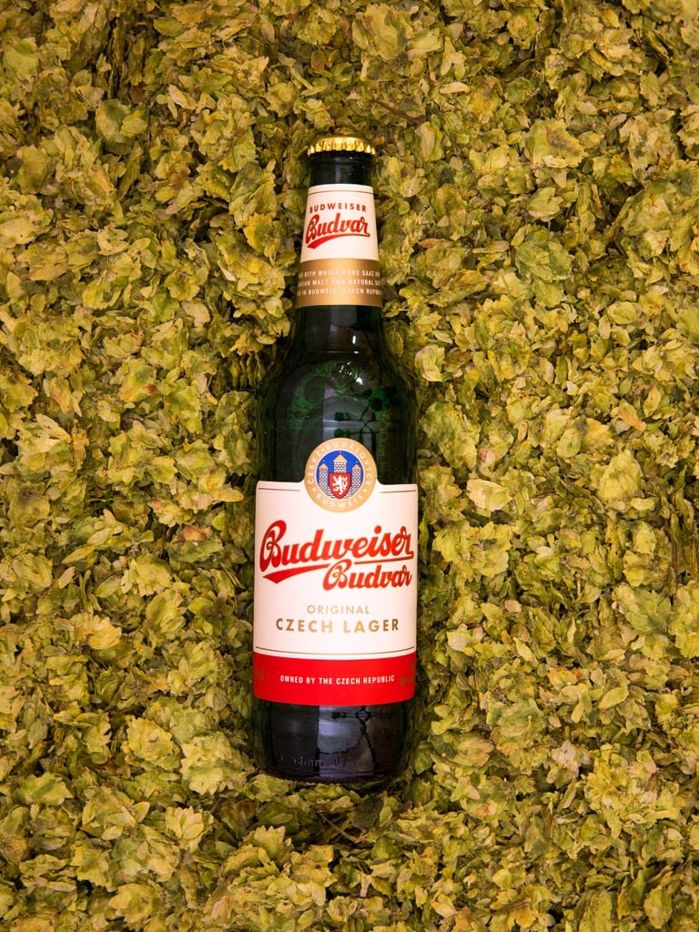 Best Pilsner Beer for 2026: 35 Crisp German, Czech & Craft Picks ...